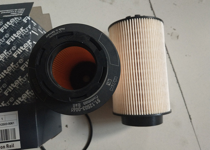Sinotruk Filter Element 1105020D354, F0011-D, JAC-1228, UF0011-Q, DK4A ...